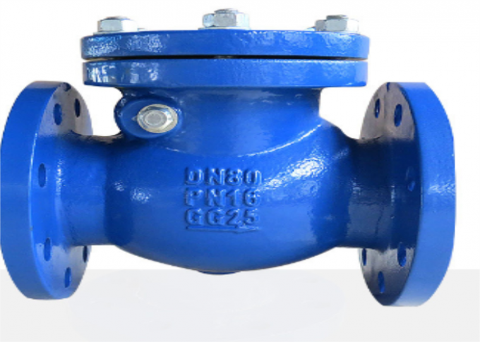 Dn50 Swing Check Valve Flange Type Steel Metal Seat Cast Iron Body