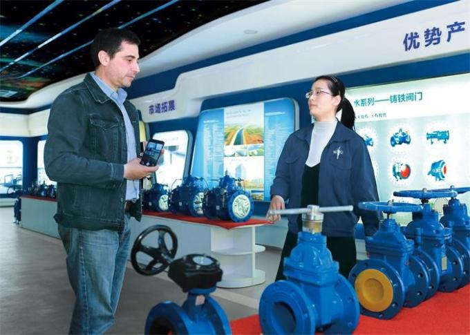 Stainless Steel DIN GG25 Globe Valve PN16 Manual High Temperature ...